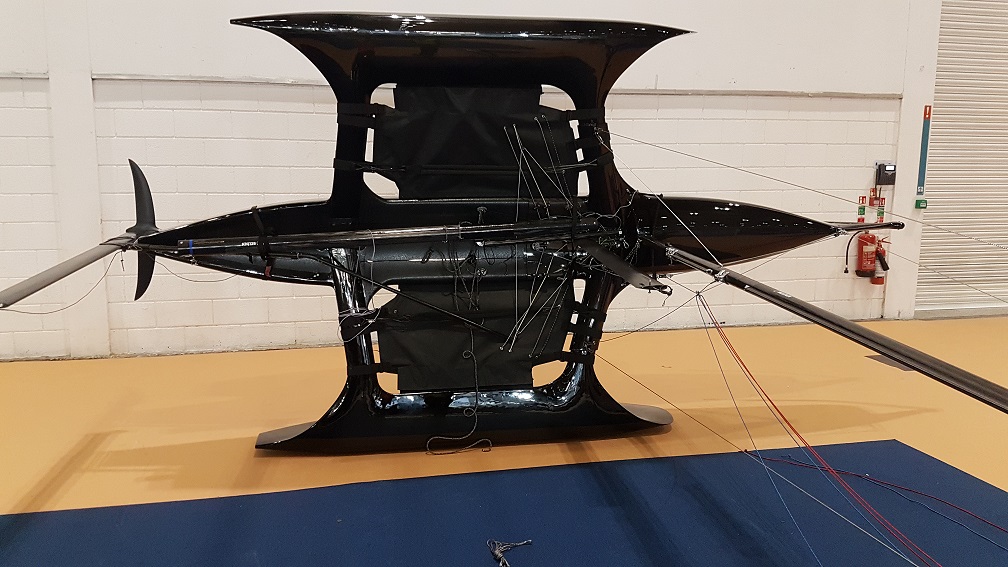 Flying Mantis | The Gallery