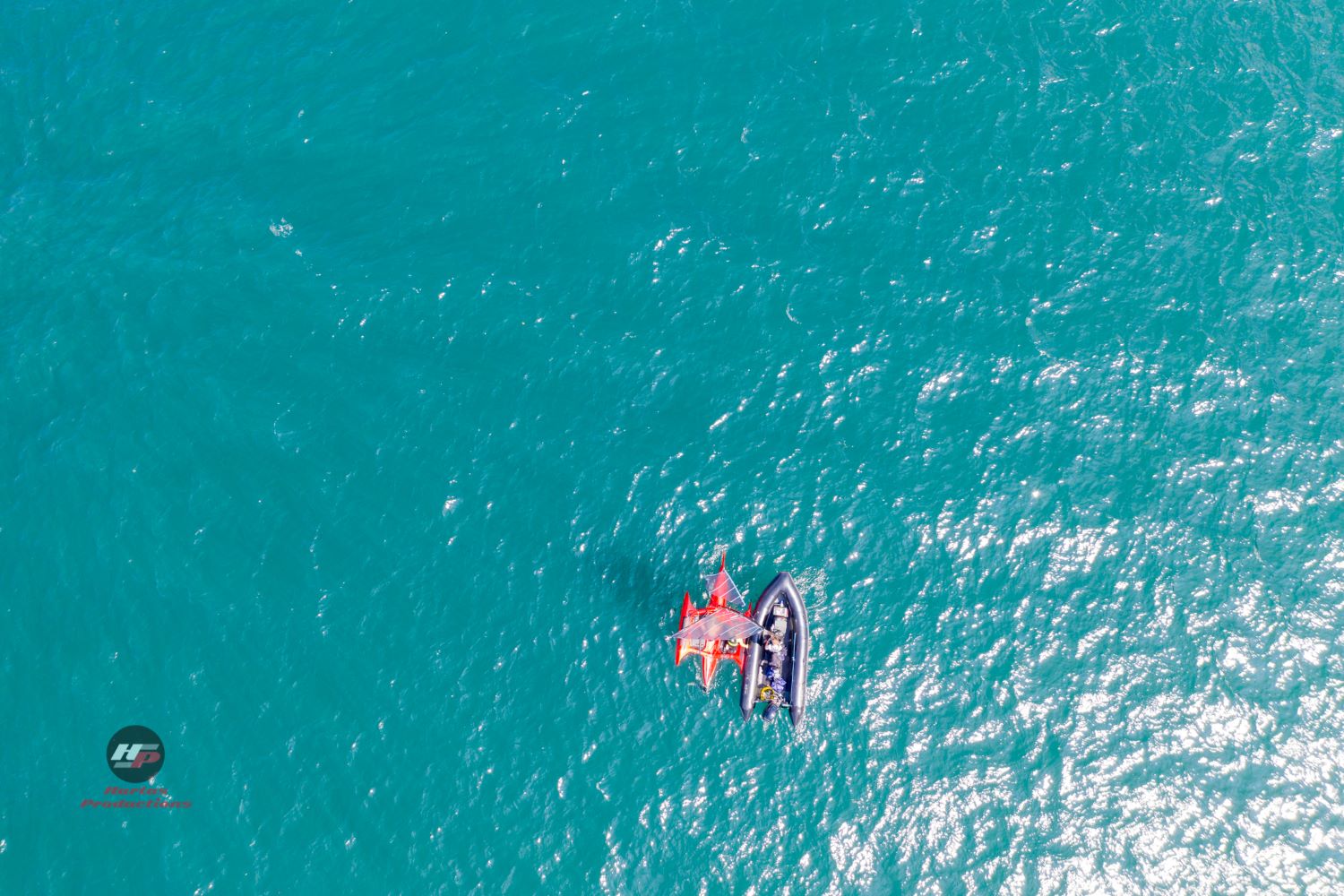 Flying Mantis | The Gallery