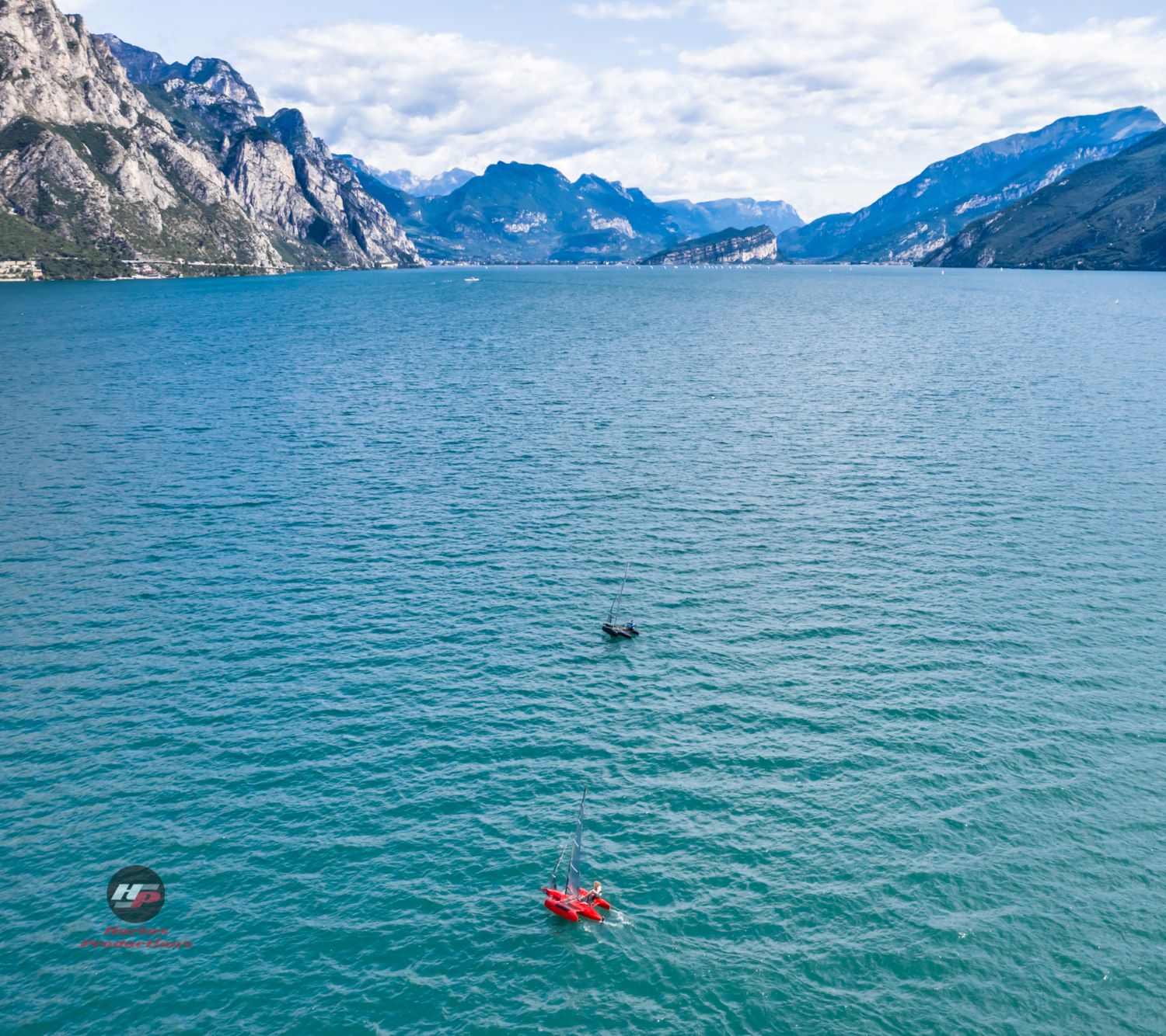 Flying Mantis | The Gallery